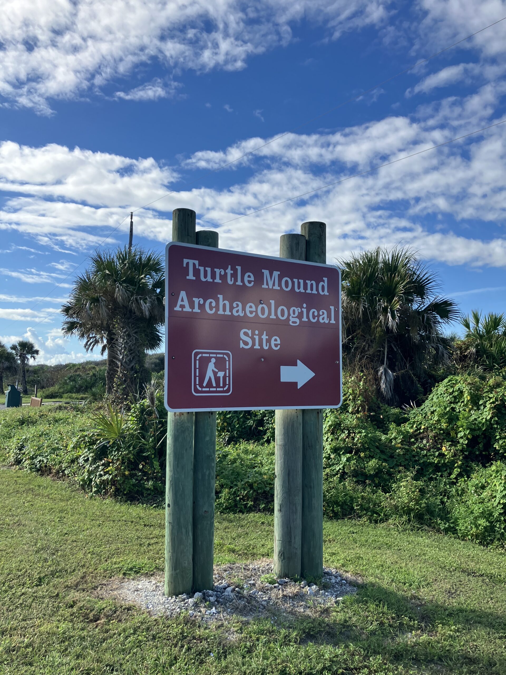 Fry Bread Visits: Turtle Mound - Fry Bread